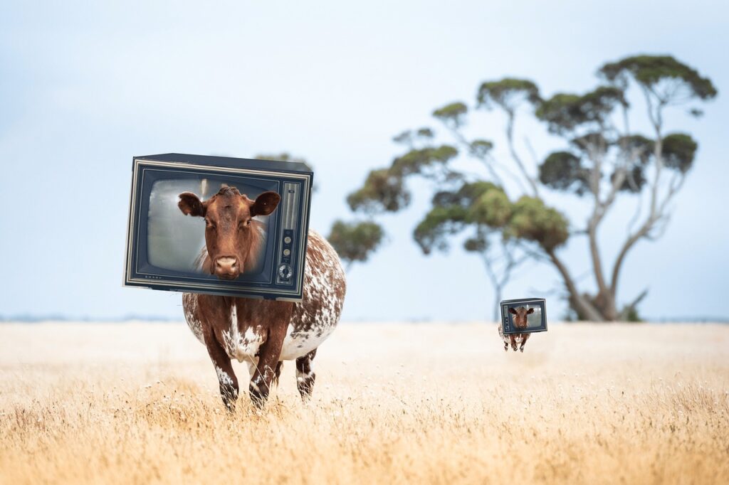 햅틱 뜻: 메타버스에서 Haptic 활용 예시 - 작은조각